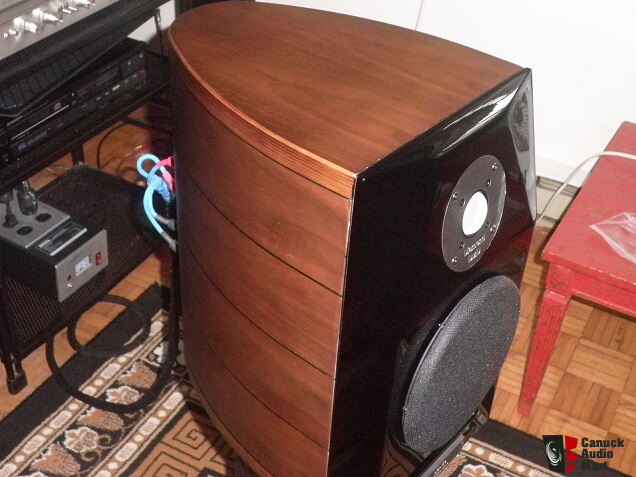 USHER FLAGSHIP....DANCER MINI X..DIAMOND Photo #760188 - US Audio Mart