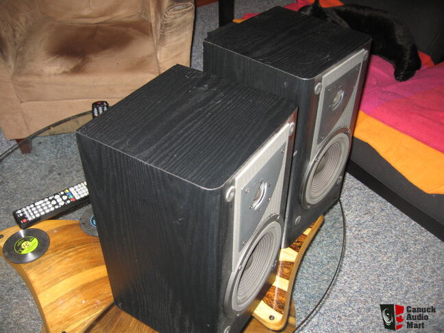 JBL LX300 Speakers-NICE !! Photo #764252 - US Audio Mart