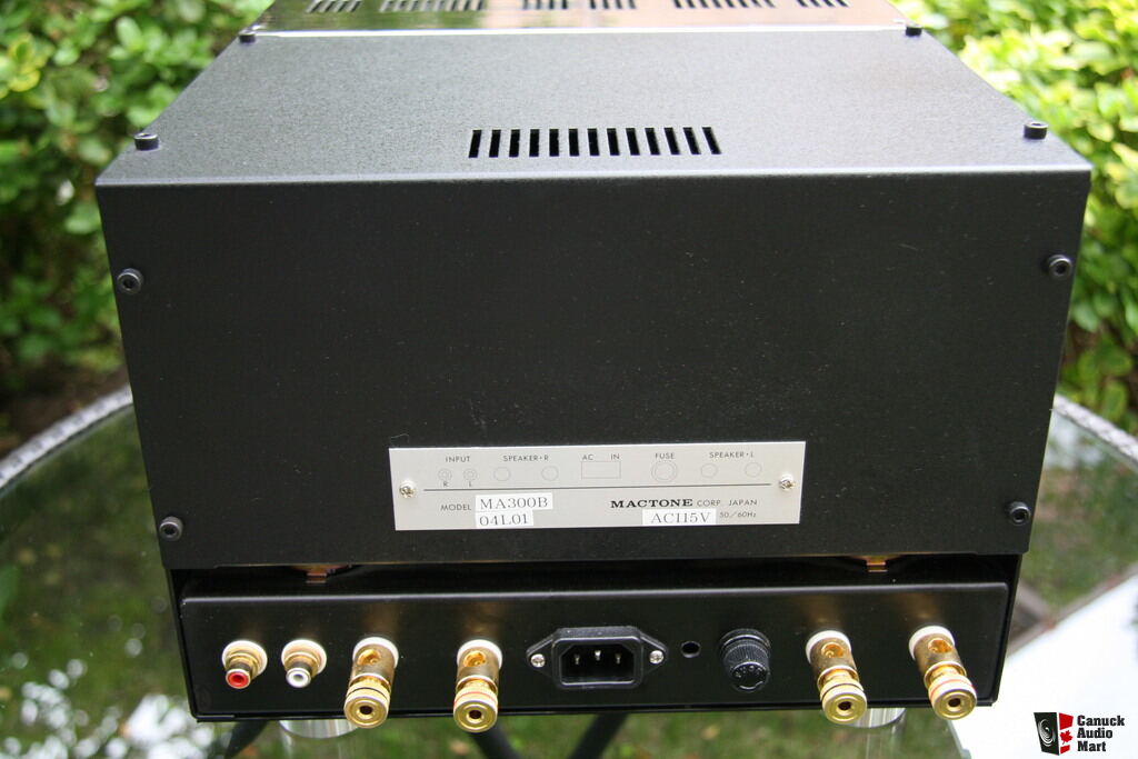 Mactone 300B power amplifier Photo #773290 - UK Audio Mart