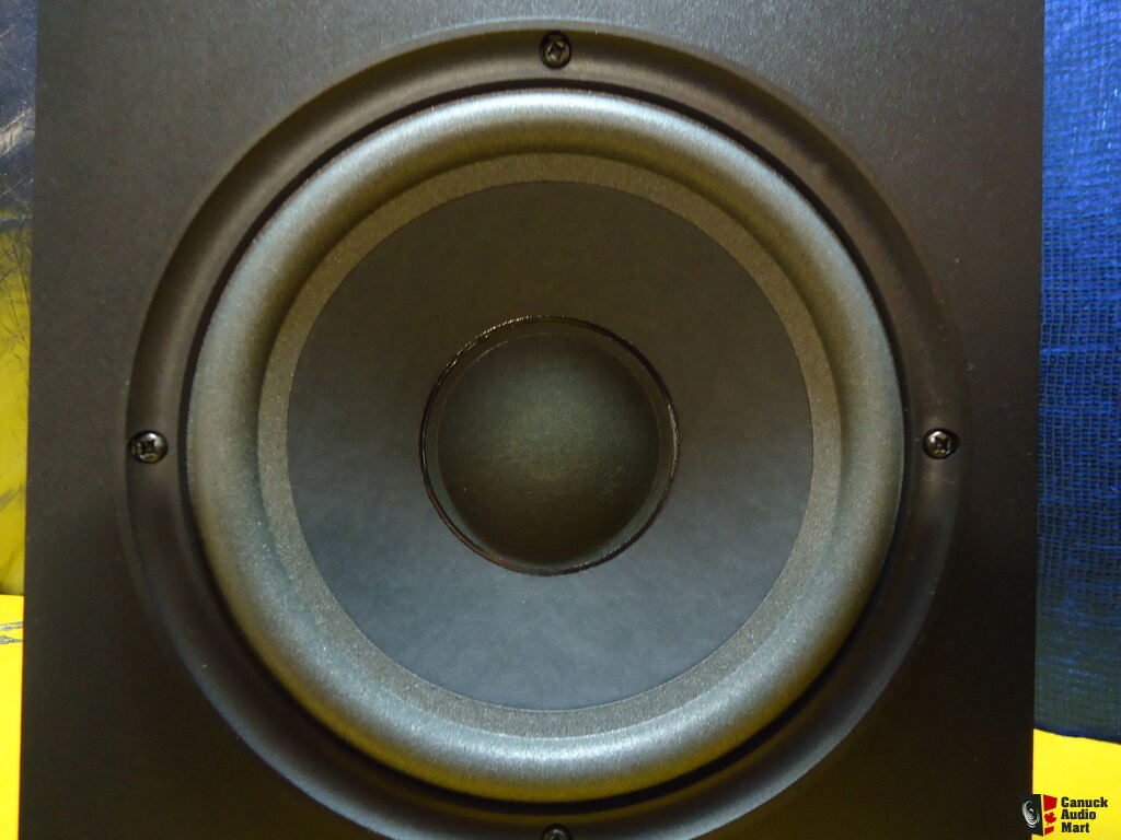 BOSE 301 Series IV Large Bookshelf.Main Stereo Speakers-MINT drivers ...