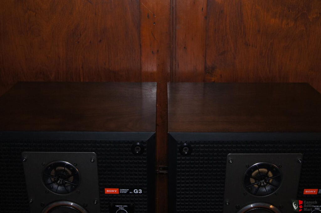 Pair SONY SS G3 Speakers approx. $1000. in 1977 Carbocon, Film cap ...