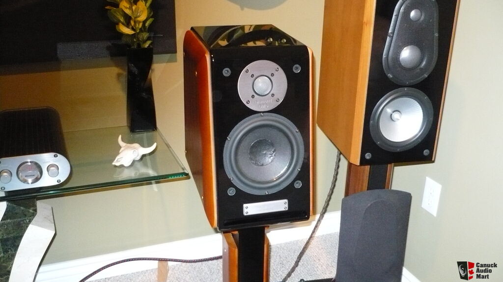 USHER DIAMOND DMD BE-718-D MONITORS Photo #806661 - Canuck Audio Mart