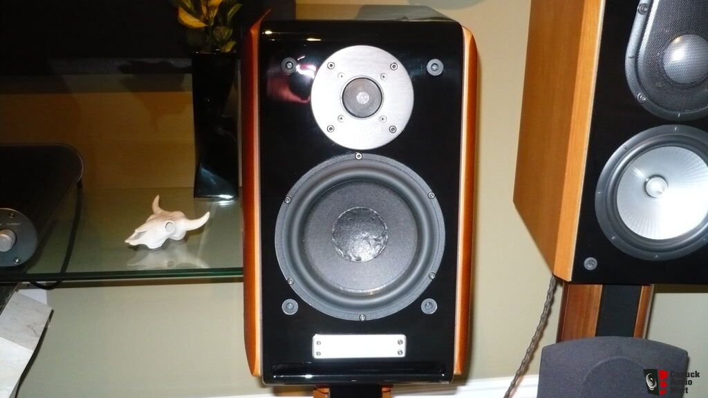 USHER DIAMOND DMD BE-718-D MONITORS Photo #806661 - Canuck Audio Mart
