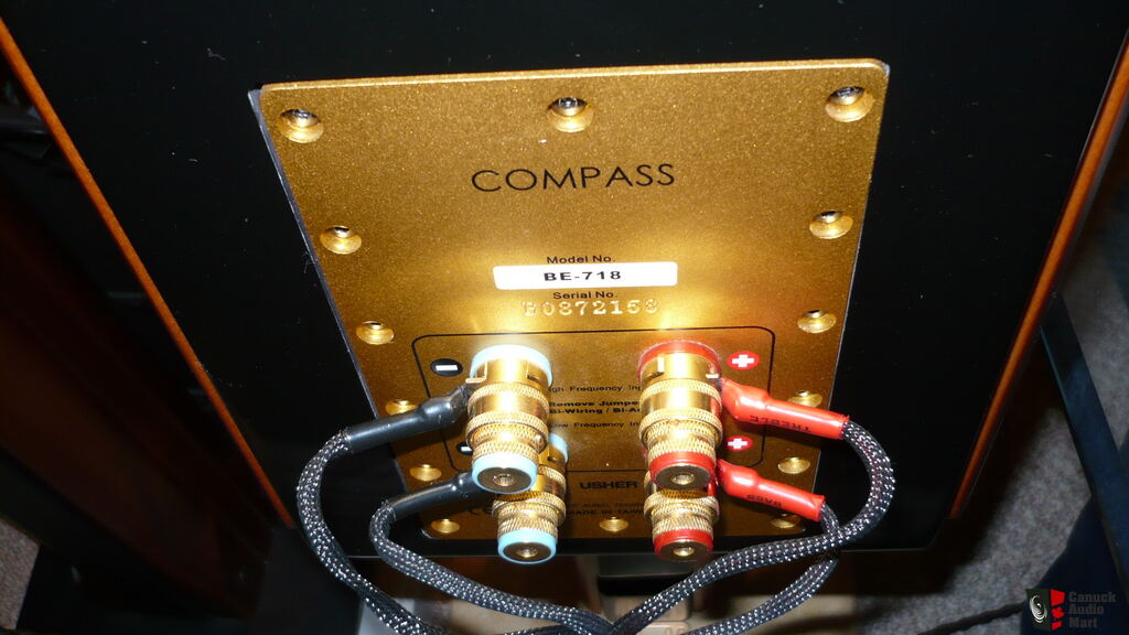 USHER DIAMOND DMD BE-718-D MONITORS Photo #806661 - Canuck Audio Mart