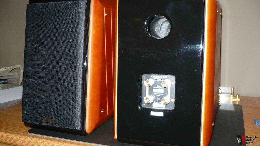 USHER DIAMOND DMD BE-718-D MONITORS Photo #806661 - Canuck Audio Mart