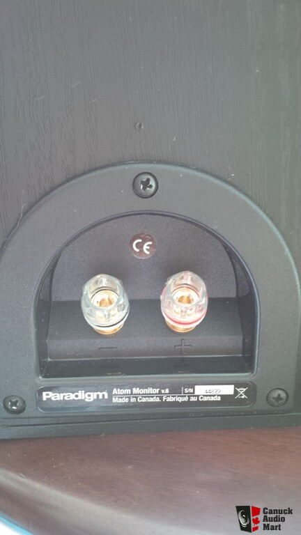 Paradigm Atom Monitor V.6 in Black ash Photo #811693 - UK Audio Mart