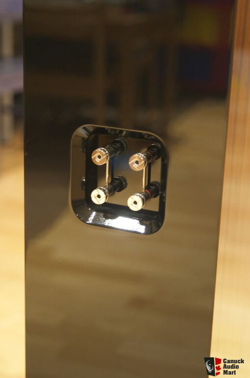 ProAc Carbon Pro 6 Mint Condition Photo #820019 - UK Audio Mart