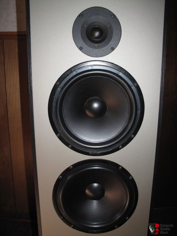 Paradigm 11 se MkII - ON HOLD Photo #823232 - UK Audio Mart