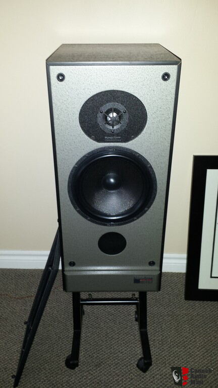 Paradigm Export Monitor for Sound Dynamics For Trade - Canuck Audio Mart