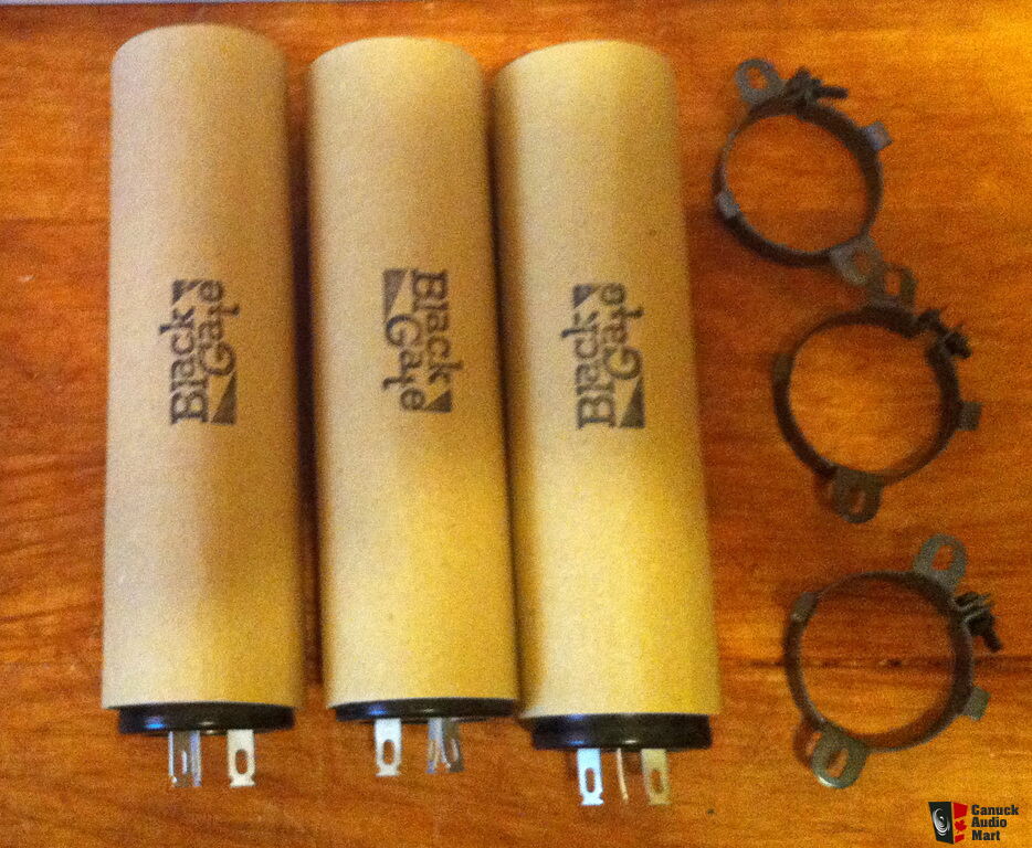 Black Gate WKZ 500V Capacitor Photo #828890 - UK Audio Mart