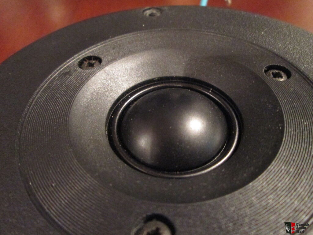 Paradigm Soft Dome Vifa Tweeters 9se Pair Photo #858502 - Canuck Audio Mart