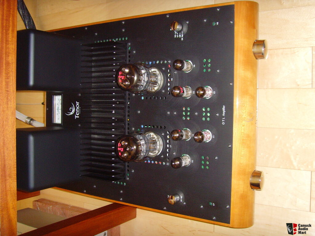 Tenor Amp OTL 15wi Photo #858551 - Canuck Audio Mart