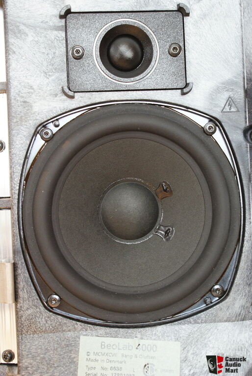 Bang & Olufsen BeoLab 4000 Photo #866771 - Canuck Audio Mart
