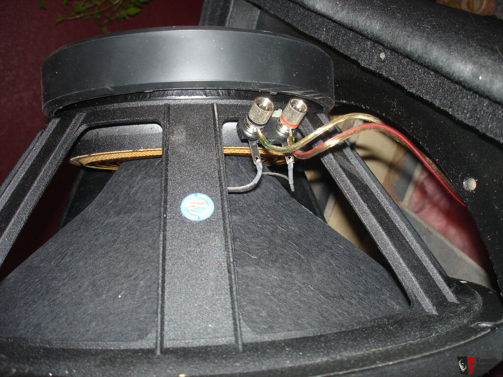 Eminence Omega Pro 18" Loudspeakers - Pair - Price Reduced Photo ...