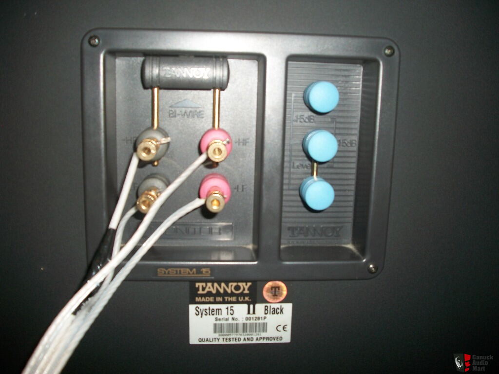Tannoy System 15 DMT II Speakers Photo #876950 - US Audio Mart