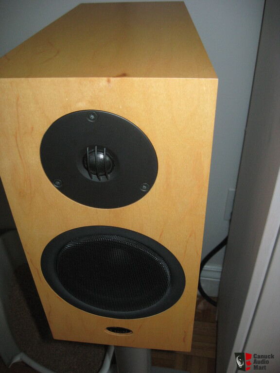 Linn Katan Speakers in Maple Finish For Sale - Canuck Audio Mart