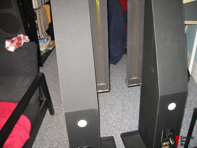 Apogee Acoustics Centaurus Slant 6 Speakers Photo #878151 - Aussie ...