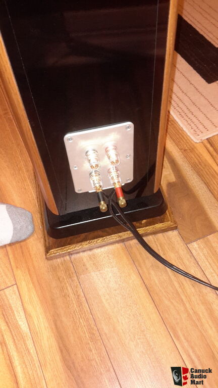 Polk Audio lsi15 700$ mods by Solen Photo #891013 - UK Audio Mart