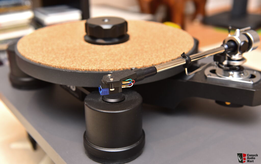 Avid Diva 2 Turntable w/ SME M2-9 Tonearm Photo #906107 - Canuck Audio Mart