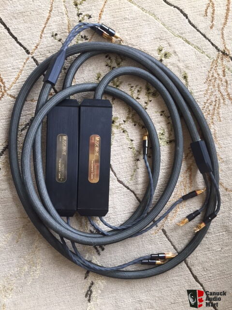 Transparent Music Wave Reference Speaker cables 10ft Photo #906415 - US ...