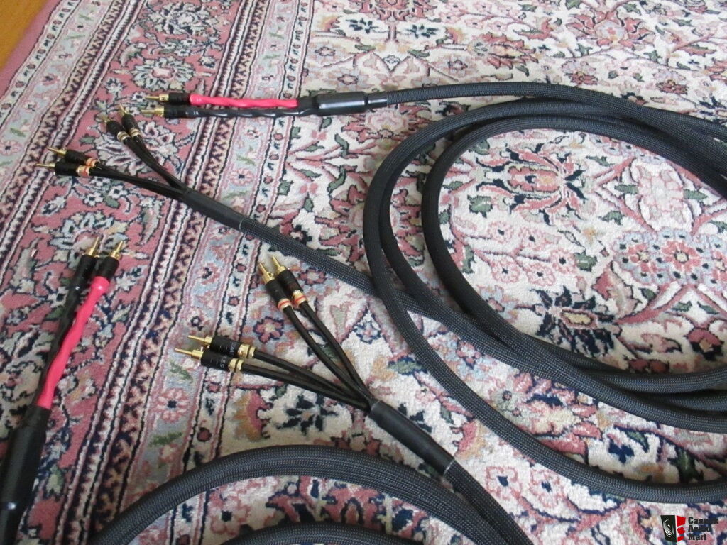 12awg New custom made 10ft pair complete Photo #909302 - Canuck Audio Mart