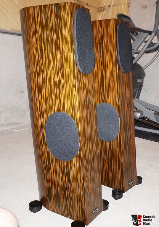 AUDIO PHYSIC TEMPO VI Speakers - Ebony Maccasar Premium Finish Photo ...