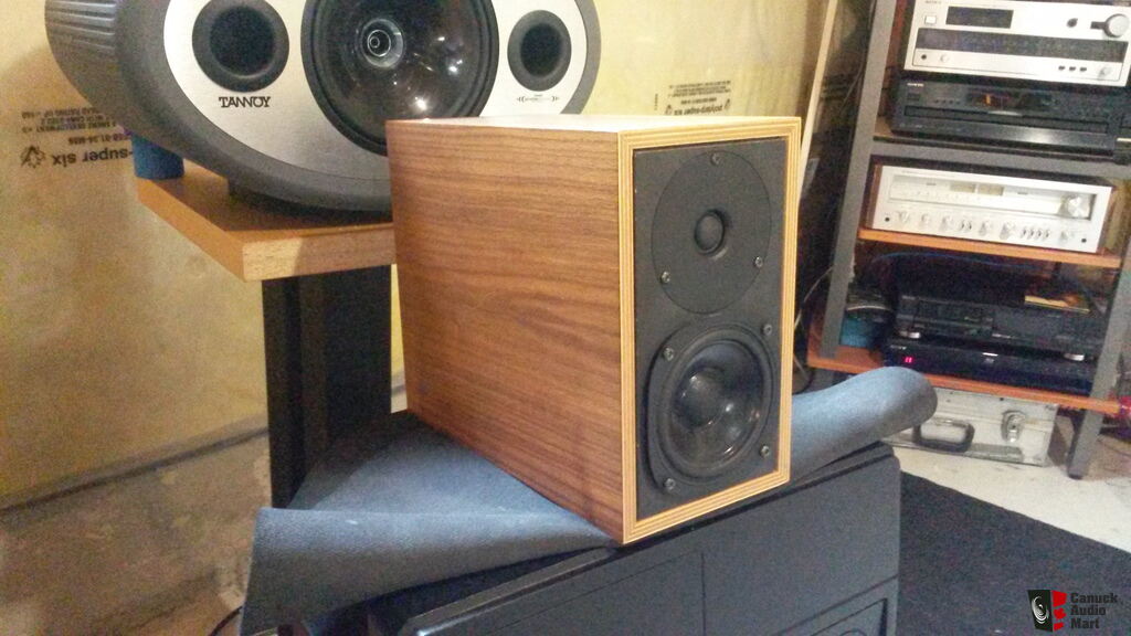PENAUDIO REBEL 2 Photo #917562 - Canuck Audio Mart