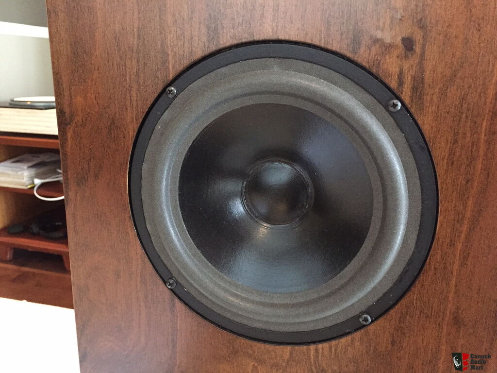 Snell JII speakers - precursor to Audio Note AN-J Photo #925199 - US ...