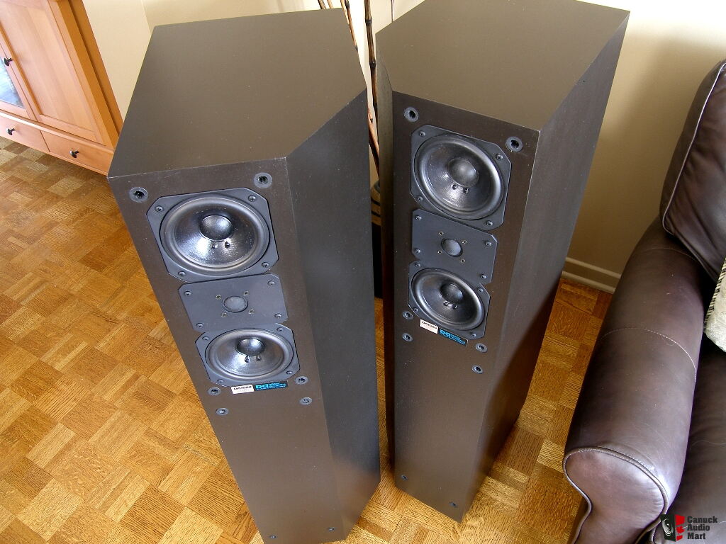 Design Acoustics DA-1000 (Top of the line) Photo #926039 - US Audio Mart