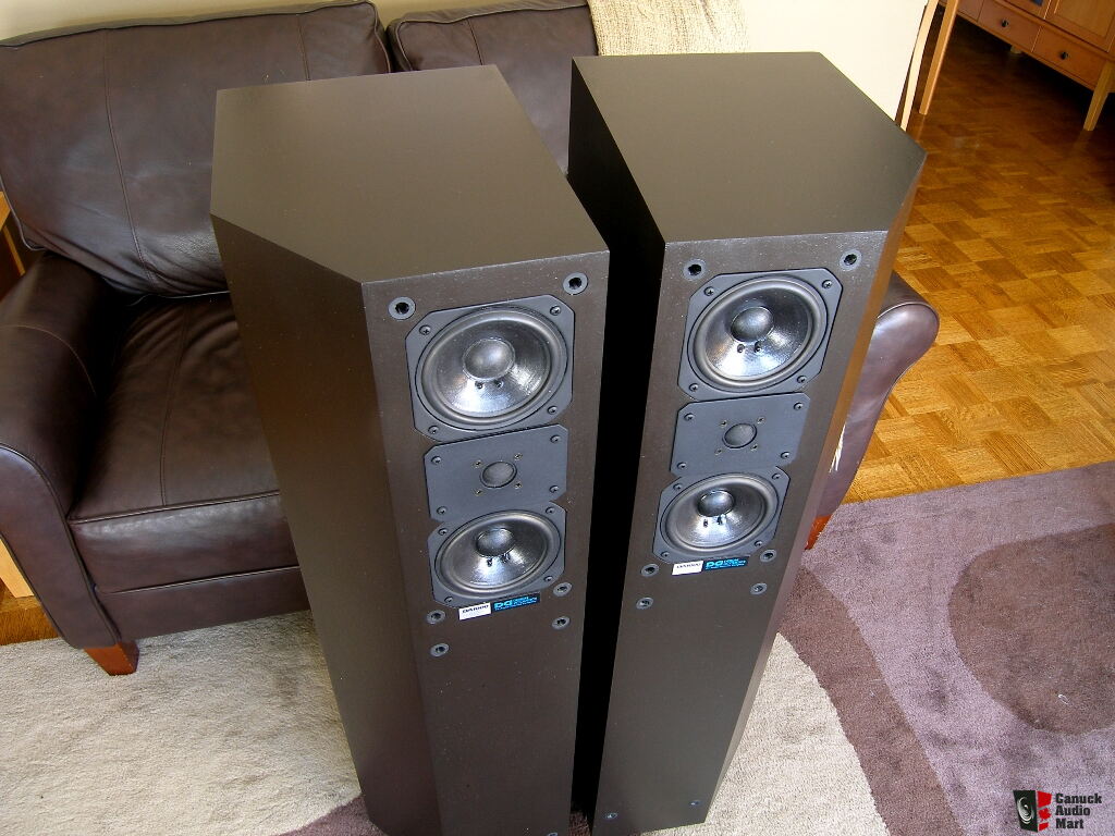 Design Acoustics DA-1000 (Top of the line) Photo #926039 - US Audio Mart