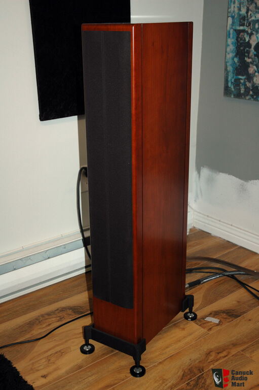 Vienna Acoustics - Beethoven Baby Grand Photo #931589 - Canuck Audio Mart