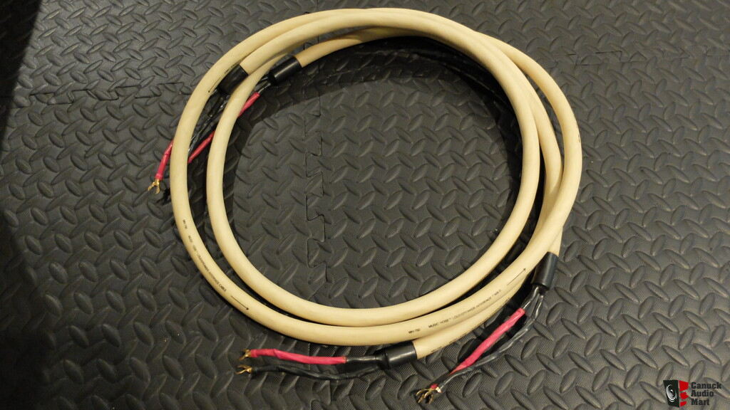 MIT MH 750 MUSIC HOSE LOUDSPEAKER CABLE Photo #931938 - US Audio Mart