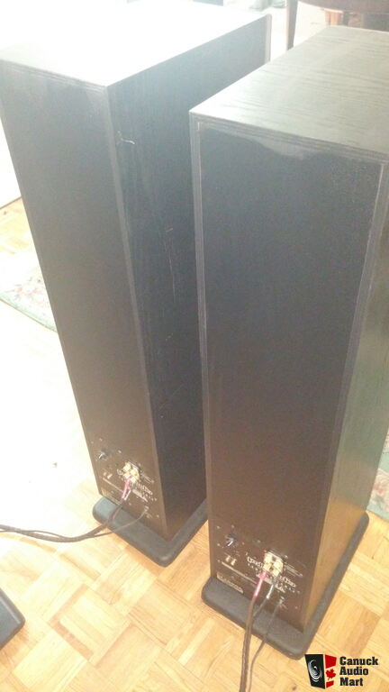 POLK AUDIO MODEL RT2000P 3 WAY FLOOR STANDERS--SOLD!!! Photo #935098 ...