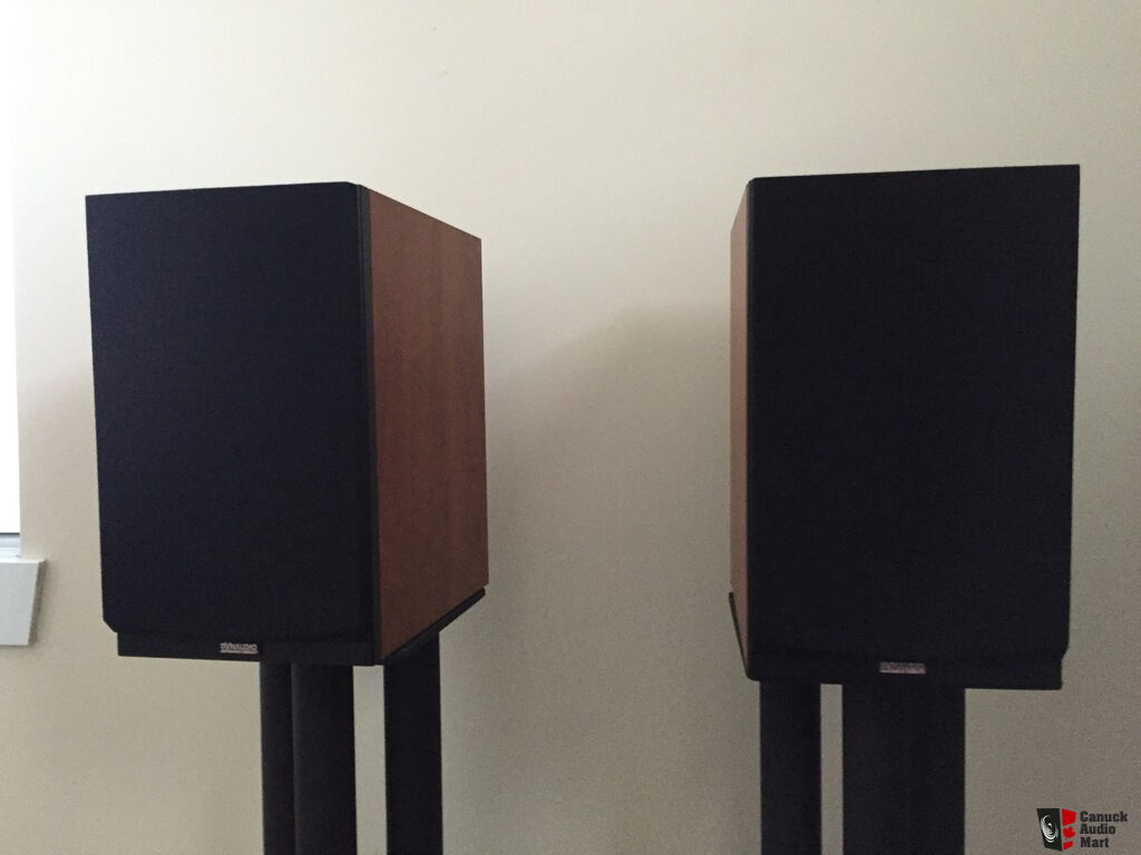 Dynaudio Audience 42 bookshelf speakers Photo #971465 - US Audio Mart
