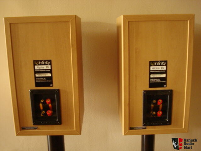 Horribly Disfigured Infinity Alpha 20 Speakers Photo #971776 - UK Audio ...