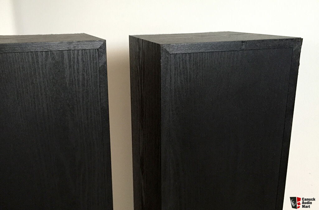 Polk Audio M20 floor standing - reduced Photo #988143 - Canuck Audio Mart