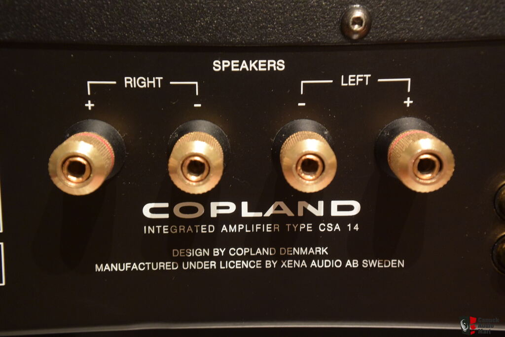 Copland CSA-14 Hybrid Tube Intergrated Amplifier, Reduced Price Photo ...