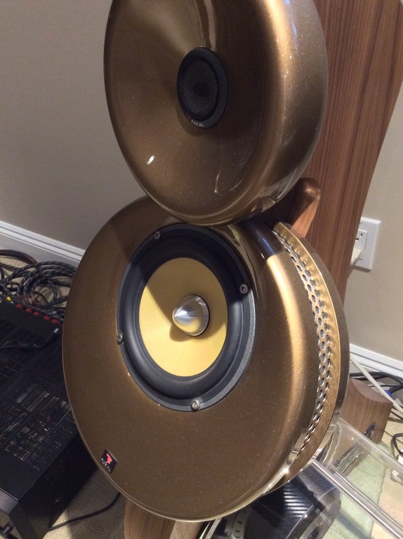 Rosewood and zebrawood,Passive with active 12" woofers,Focal drivers ...